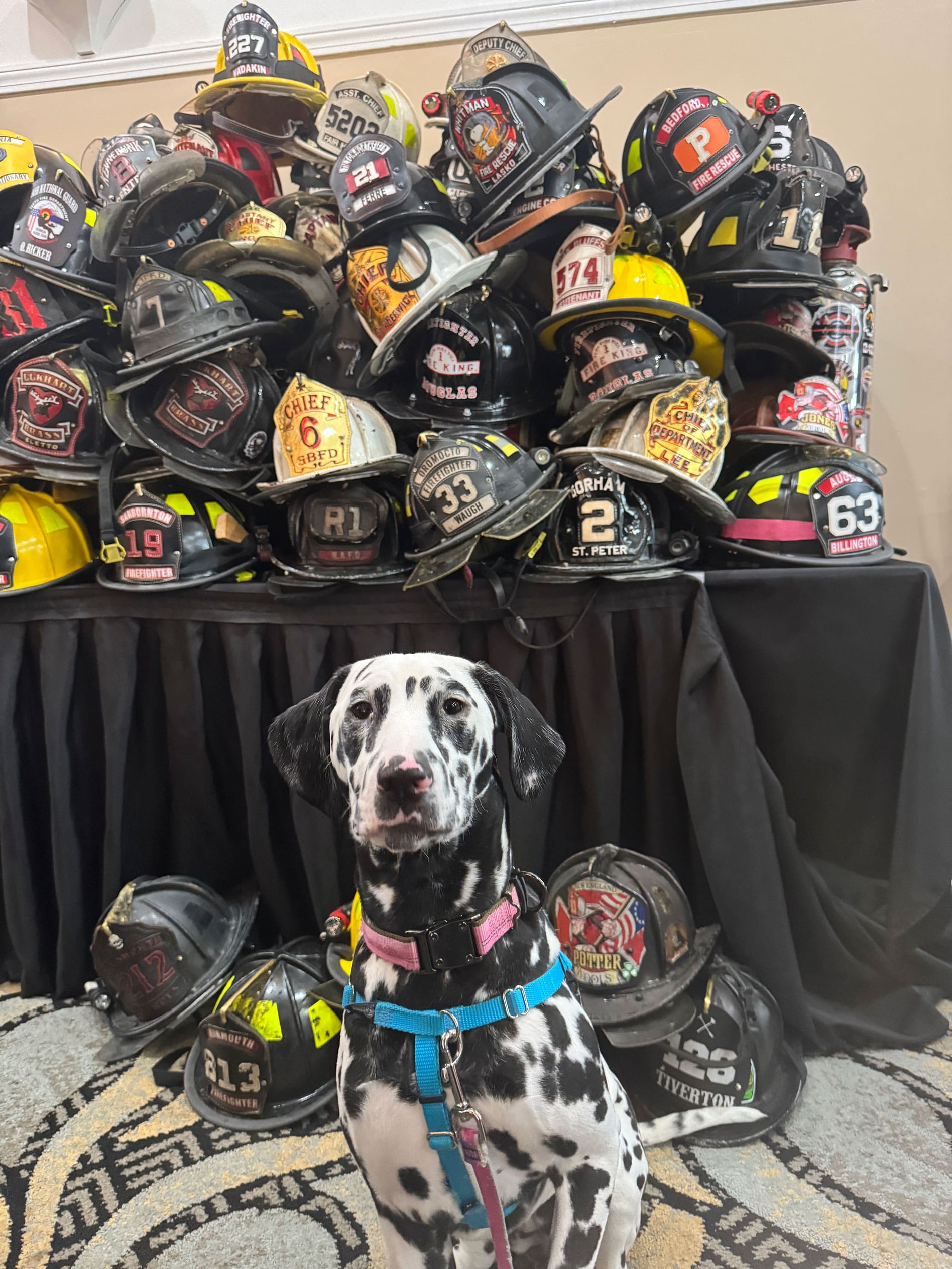 Home - Ember's Paws of Hope - Therapy Dogs for First Responders